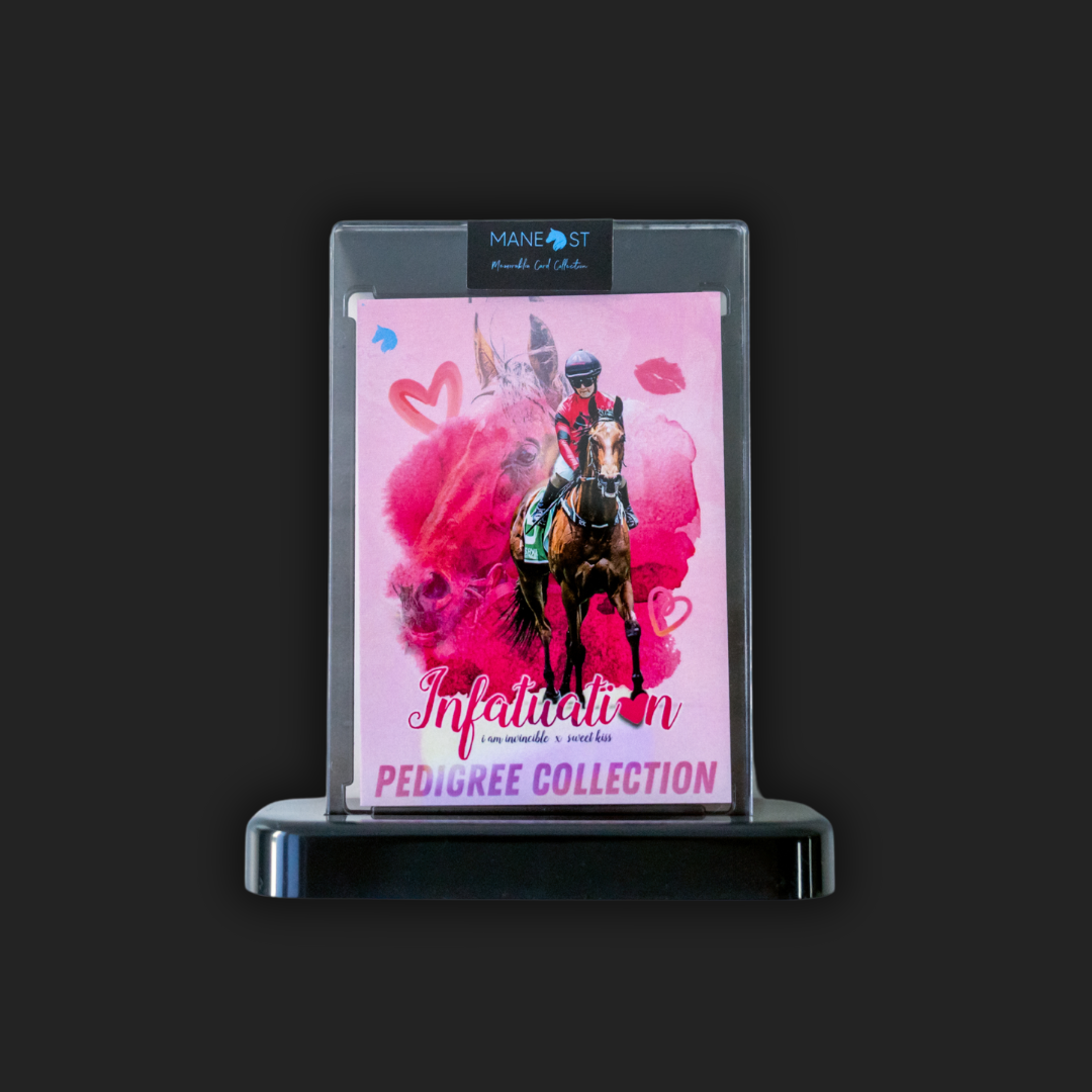 Collector Cards – Mane Street