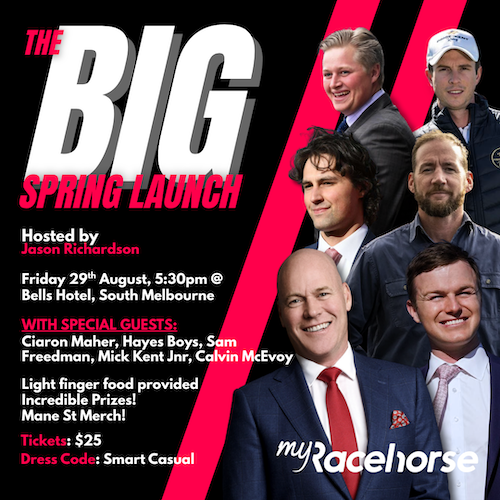 Spring Launch 2025 – Mane Street