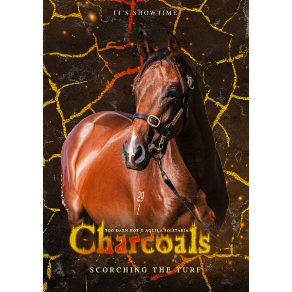 Charcoals It's Showtime Framed Poster – Mane Street