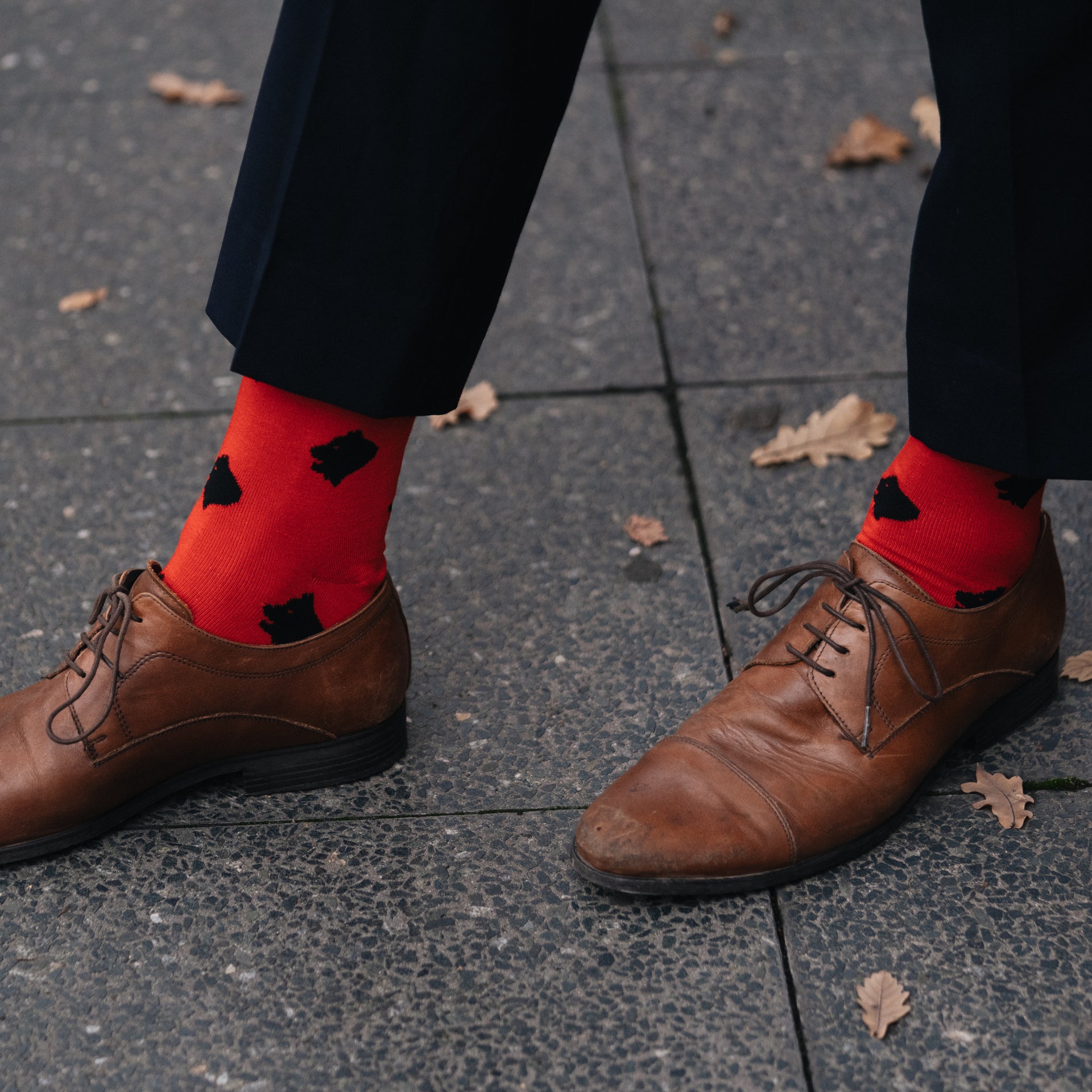 Bear On The Loose - Bamboo Cotton Socks – Mane Street