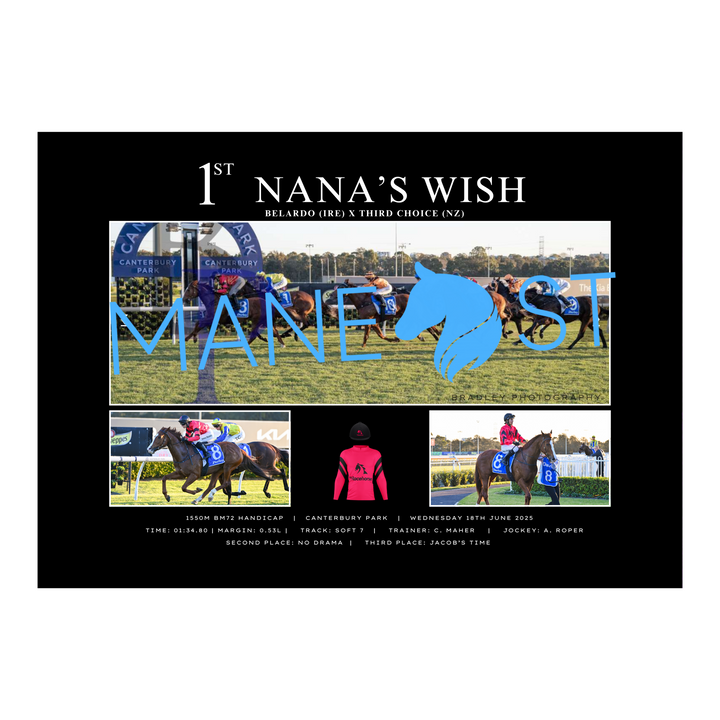 Race Wins – Mane Street