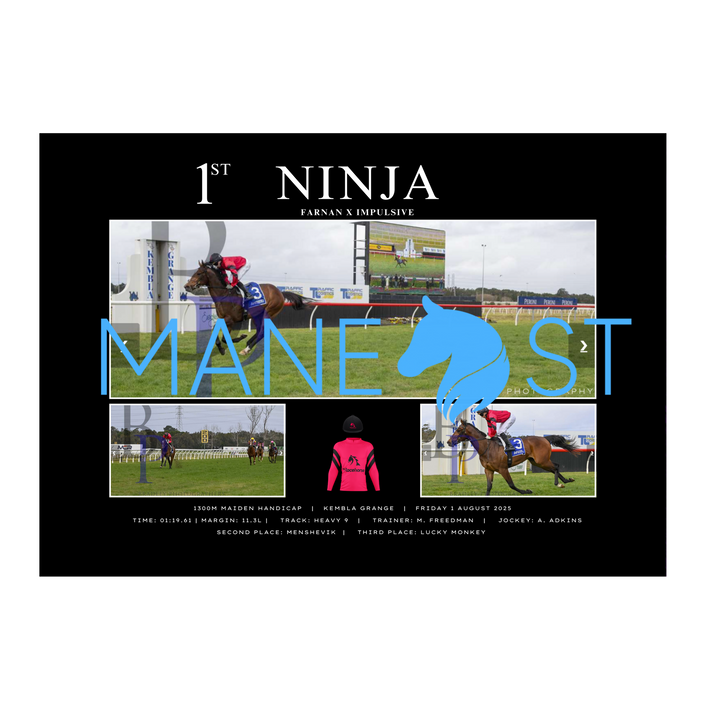 Race Wins – Mane Street
