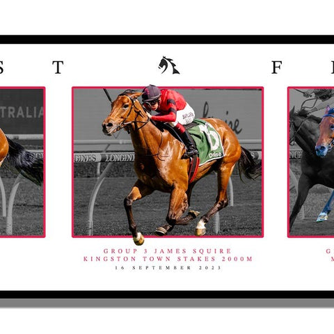 Just Fine 3x Winner Panoramic – Mane Street