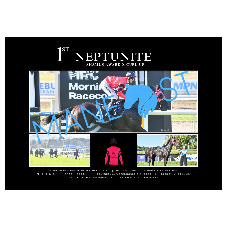 3 WINS PACK - Bold Strike, Wonder Kid & Neptunite – Mane Street