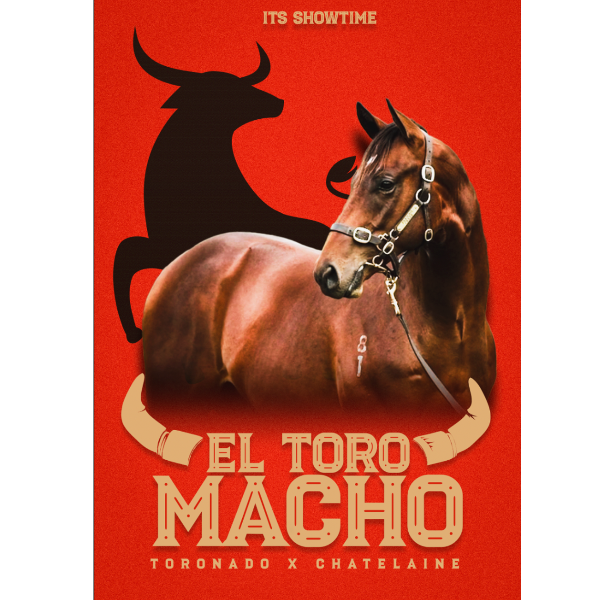 El Toro Macho It's Showtime Framed Poster – Mane Street