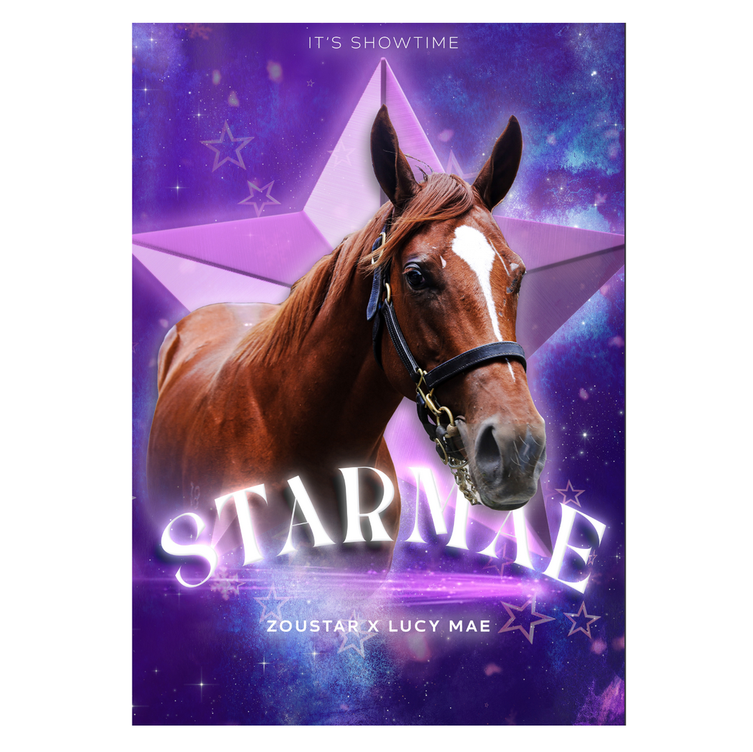 Starmae It's Showtime Framed Poster – Mane Street
