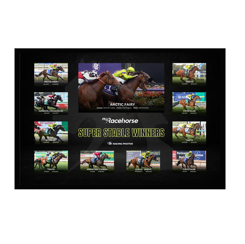 Super Stable Celebration – Mane Street