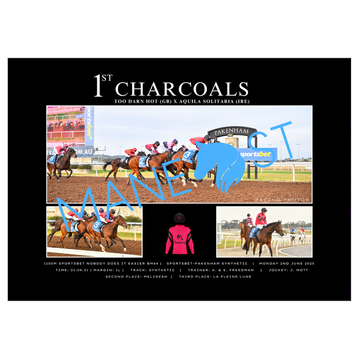 Race Wins – Mane Street