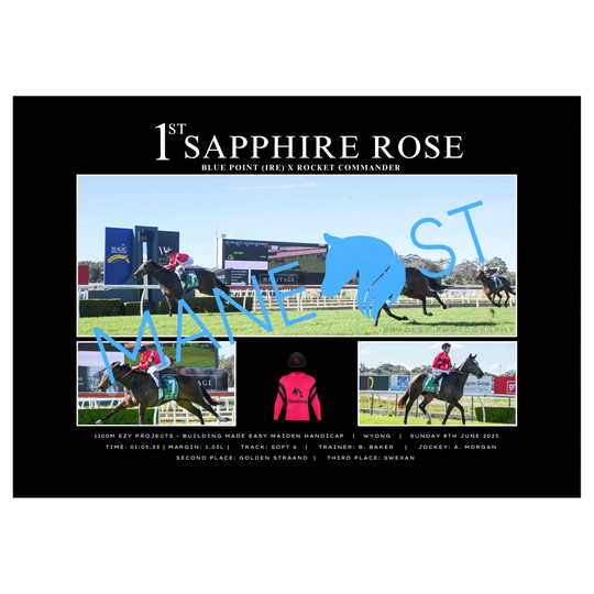 Race Wins – Mane Street