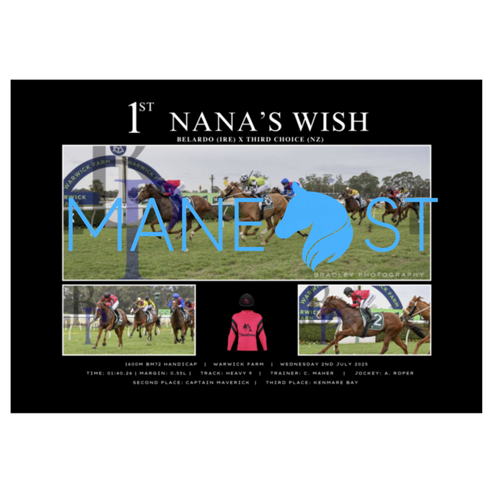 Race Wins – Mane Street