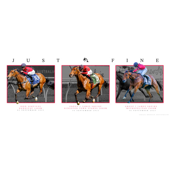 Just Fine 3x Winner Panoramic – Mane Street