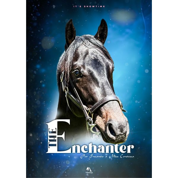 The Enchanter It's Showtime Poster – Mane Street