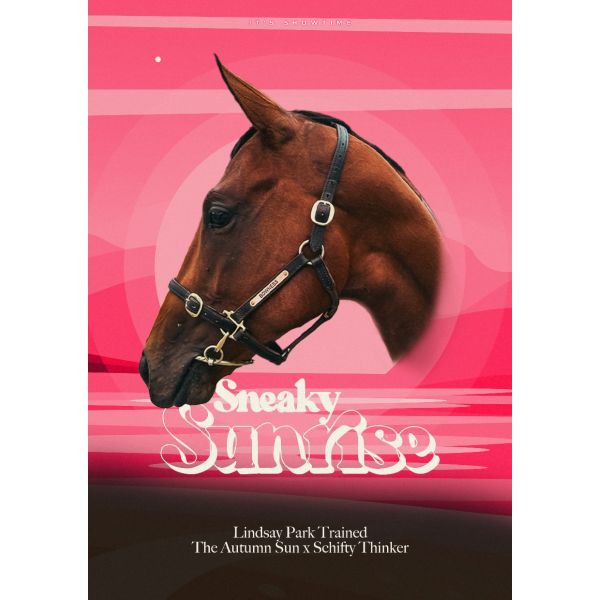 Sneaky Sunrise It's Showtime Poster – Mane Street