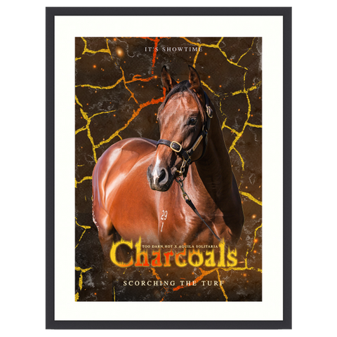 Charcoals It's Showtime Framed Poster – Mane Street